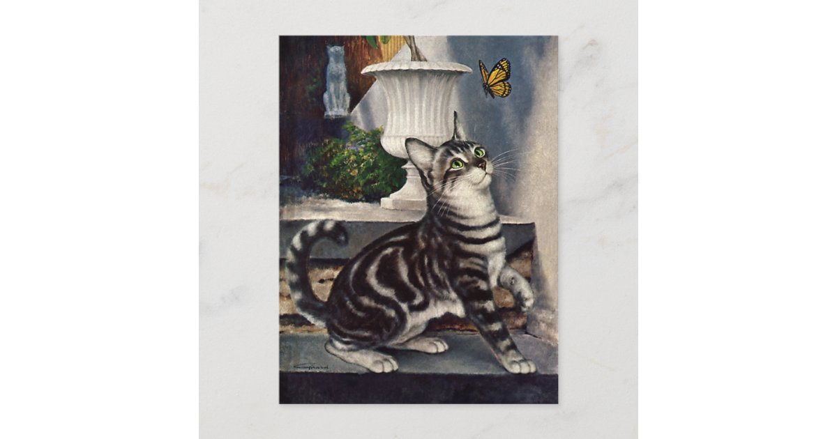 Vintage Animals, Cute Tabby Cat snd Butterfly Postcard | Zazzle