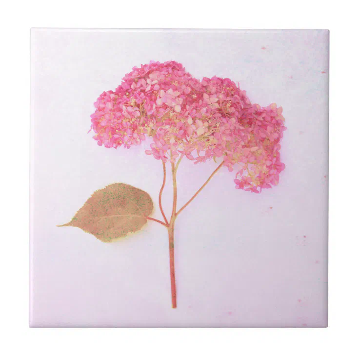 Vintage Antique Chic Pink Hydrangea Country Floral Ceramic Tile | Zazzle