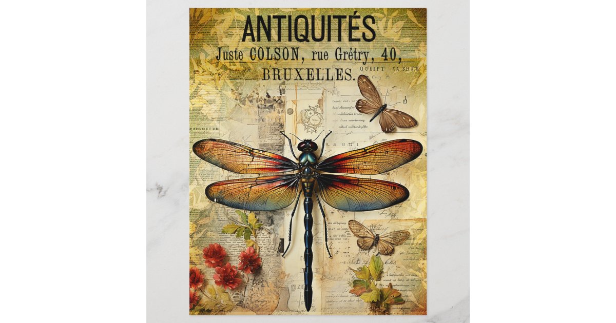 Vintage Antique Dragonfly Ephemera | Zazzle