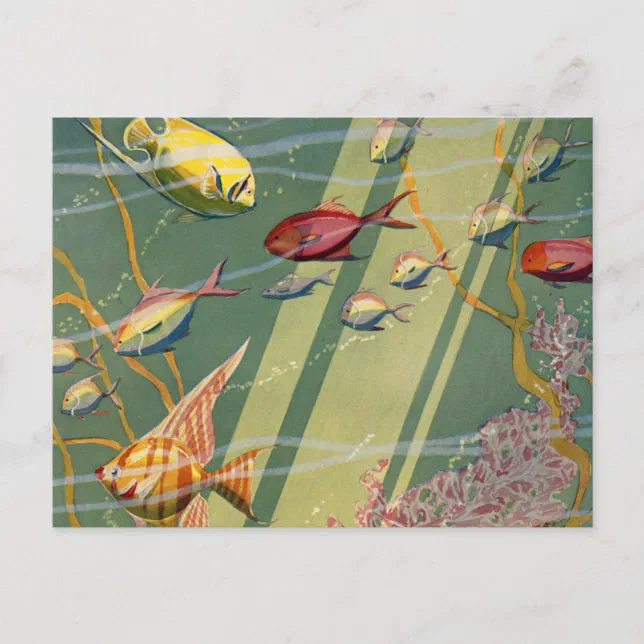 Vintage Antique Fish Undersea Ocean Sea Colorful Postcard | Zazzle