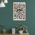 Vintage Antique French Fruit Print Poster | Zazzle