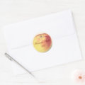 Vintage Apple Stickers | Zazzle