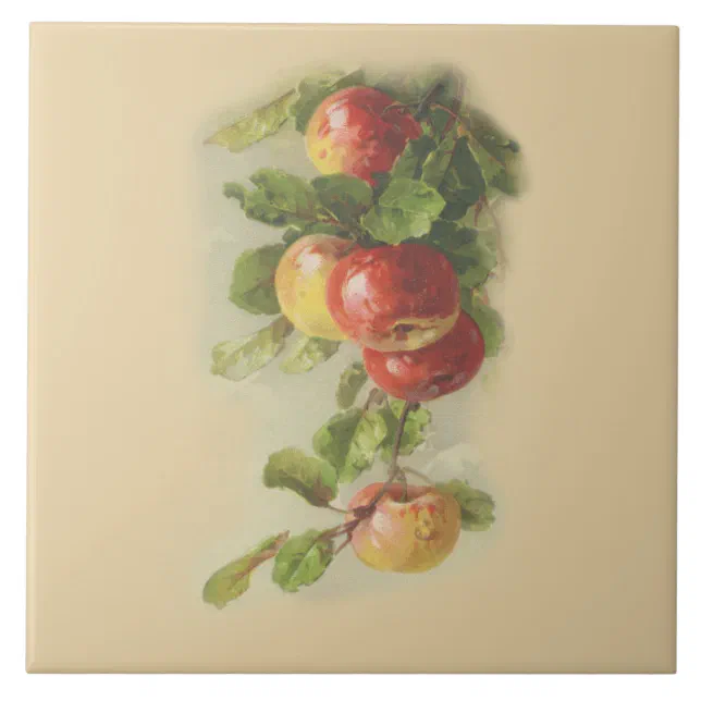 Vintage apples ceramic tile | Zazzle
