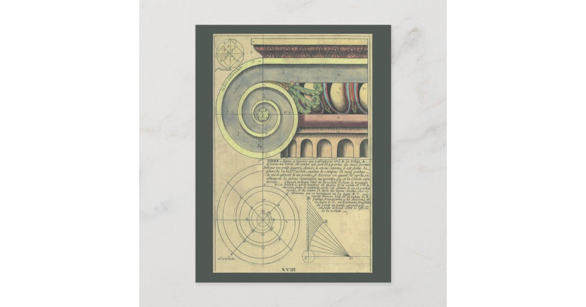 Vintage Architecture; Capital Volute by Vignola Postcard | Zazzle.com