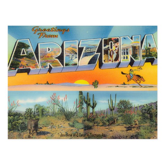 Vintage Arizona Postcard Collage | Zazzle.com