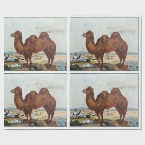 Vintage art camel wrapping paper | Zazzle