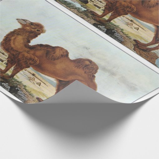Vintage art camel wrapping paper | Zazzle
