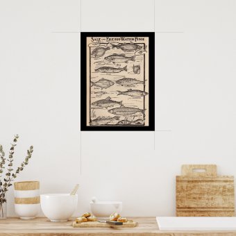 Vintage art fresh and saltwater fish chart | Zazzle