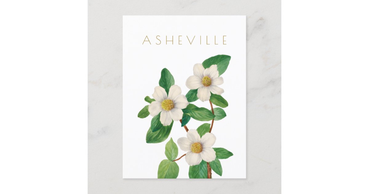 Vintage Asheville flower travel mid century Postcard | Zazzle