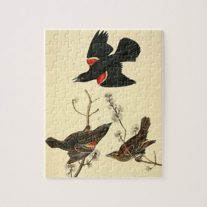 Vintage Audubon Red-Winged Blackbird Painting Gift Jigsaw Puzzle ...