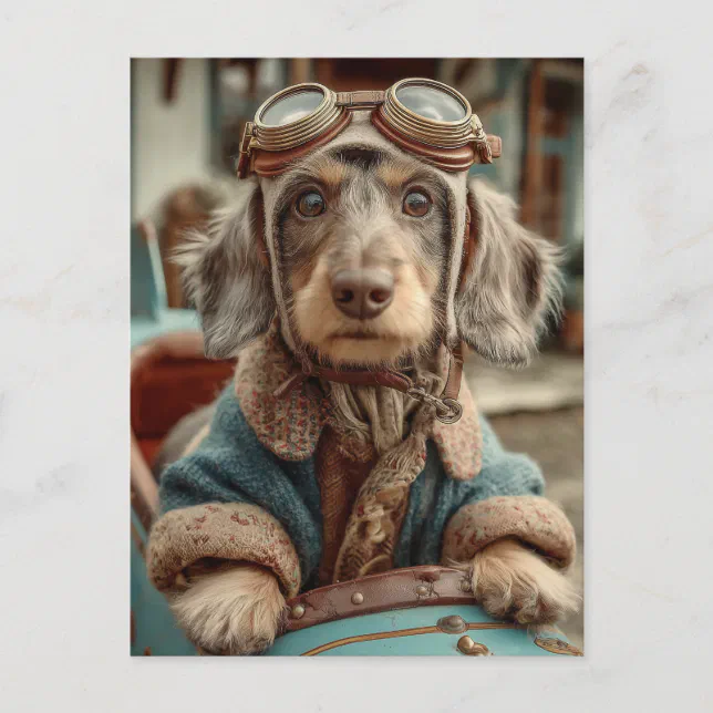 Vintage Aviator Dog Adventure Postcard | Zazzle