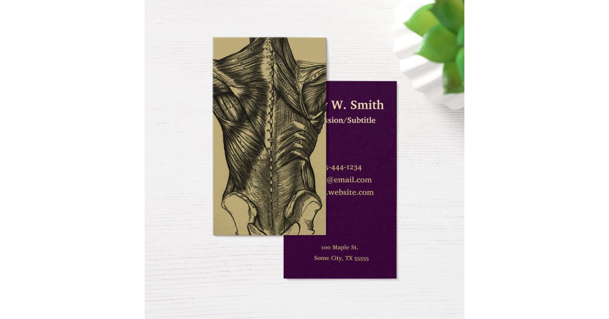 Vintage Back Anatomy Business Cards | Zazzle.com