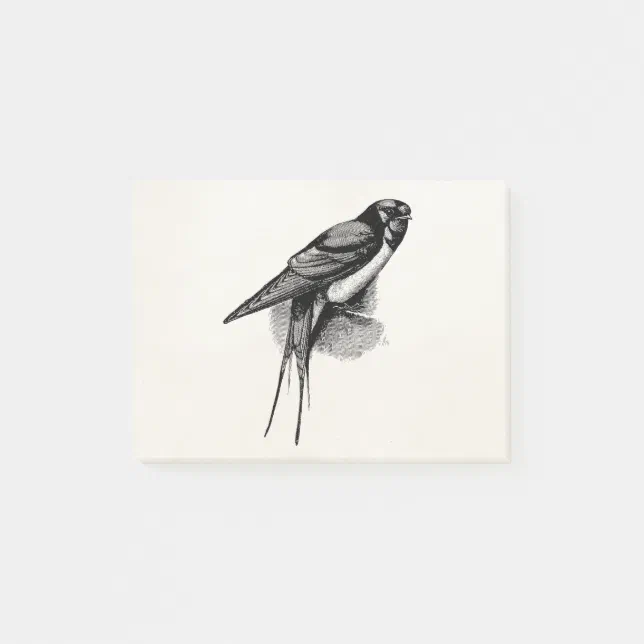 Vintage Barn Swallow Swift Bird Illustration Post-it Notes | Zazzle
