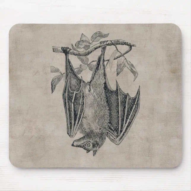 Vintage Bat Mousepad | Zazzle