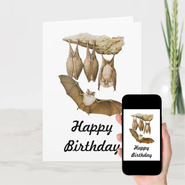 Vintage Bats Illustration, Animal Drawing Card | Zazzle