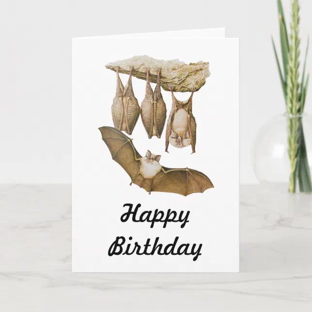 Vintage Bats Illustration, Animal Drawing Card | Zazzle