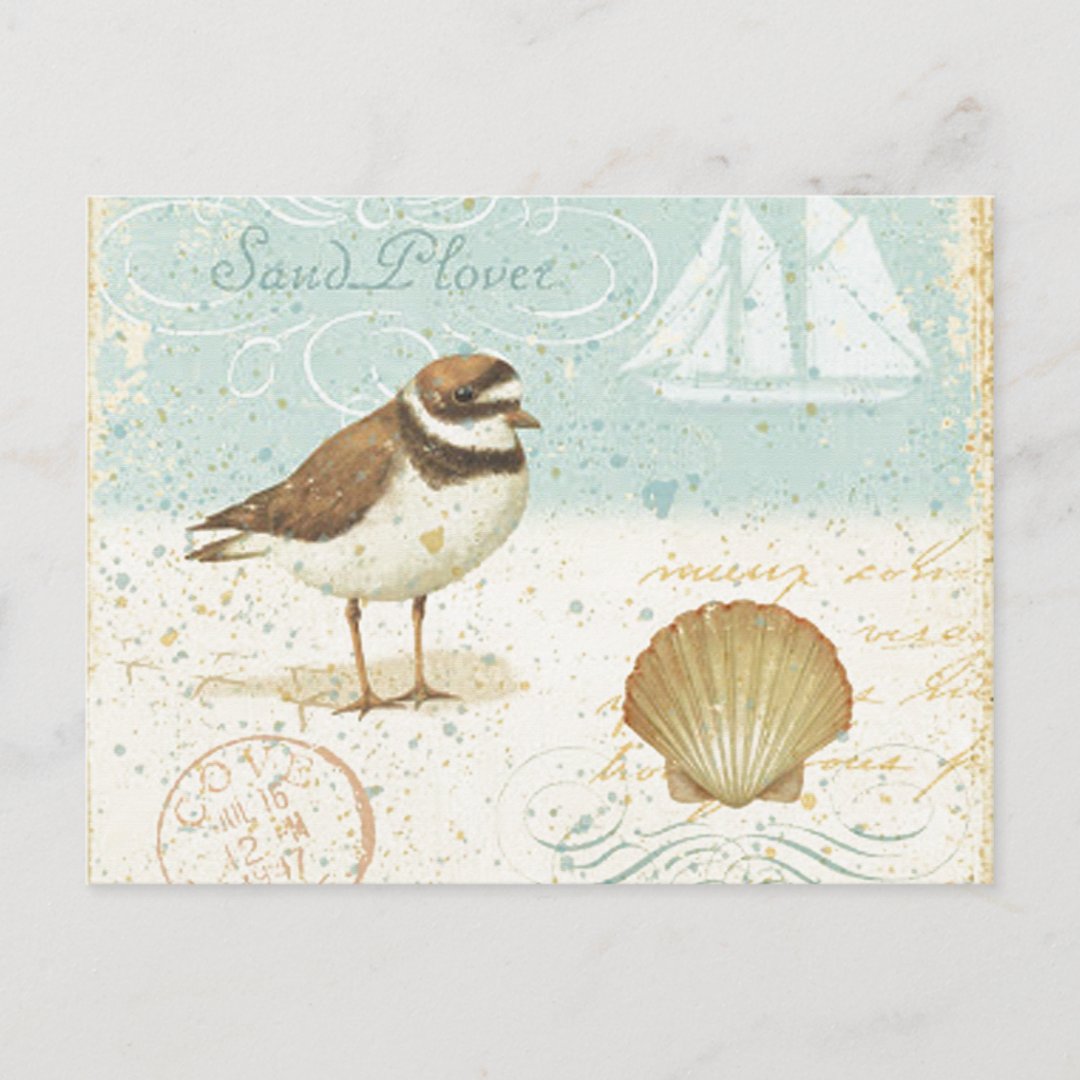 Vintage Beach Scene Postcard | Zazzle