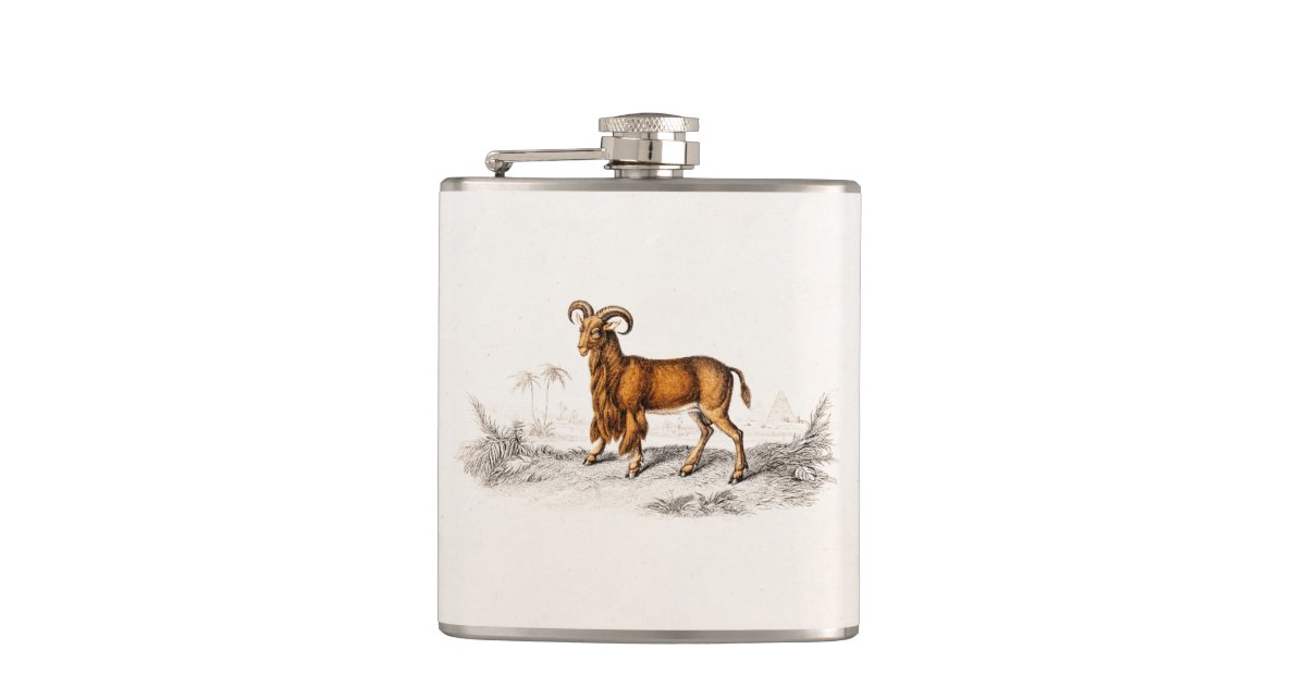 Vintage Bearded Goat Drawing Retro Beard Goats Hip Flask | Zazzle