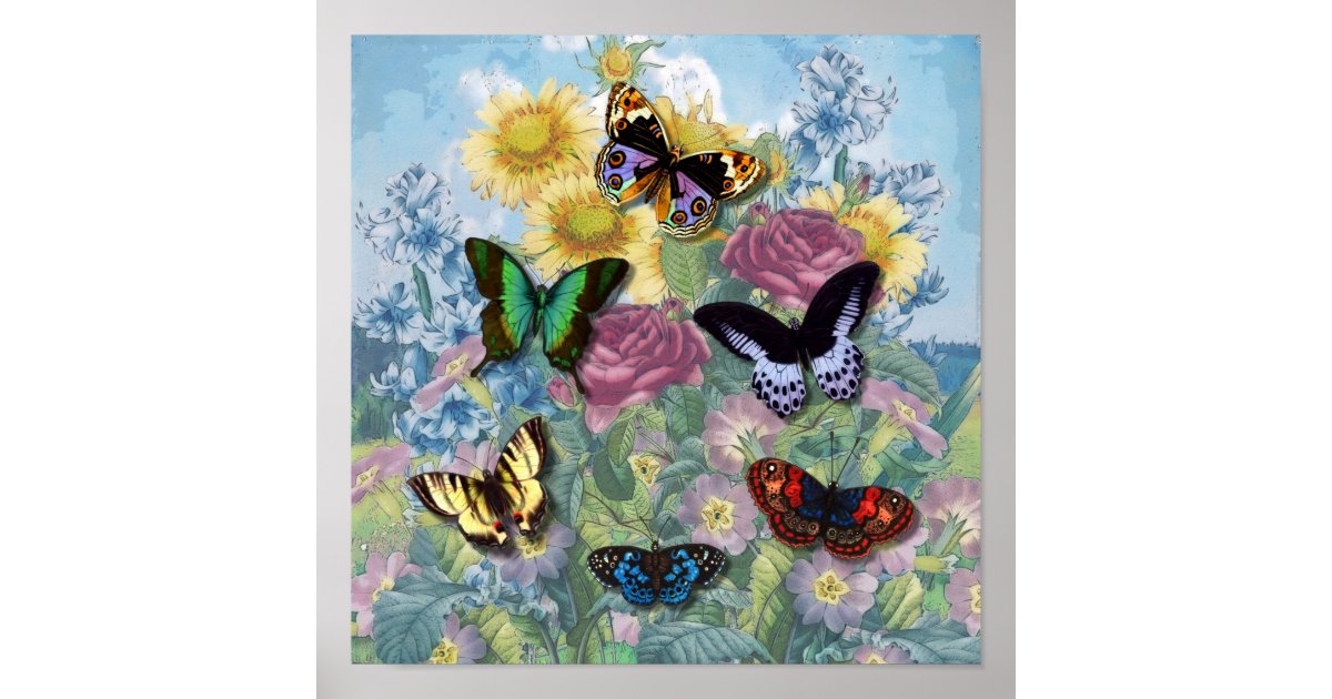 Vintage "Beautiful Butterflies" Poster | Zazzle