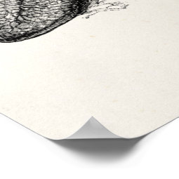 Vintage Beaver Illustration Retro Beavers and Dam Poster | Zazzle