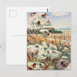 Vintage Bee Illustration Postcard | Zazzle