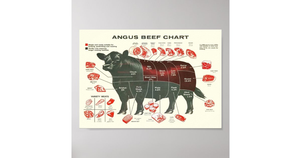 Vintage beef chart | Zazzle