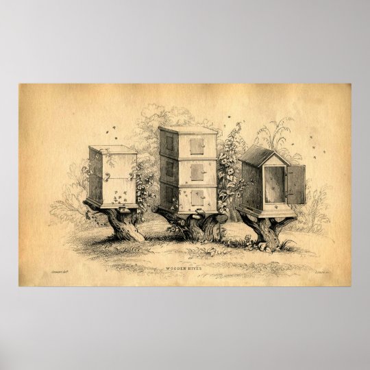Vintage Beekeeping Beehives Beehive Print | Zazzle.com