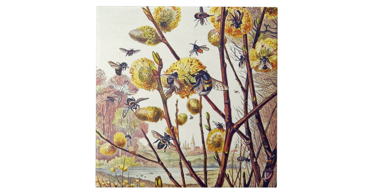 Vintage Bees Insects Spring Willow Blossom Ceramic Tile | Zazzle