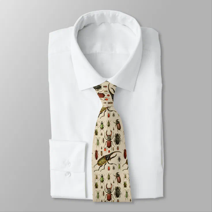 Vintage Beetle Insect Entomology Beige Neck Tie | Zazzle