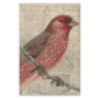 Vintage Bird Collage Tissue Paper | Zazzle