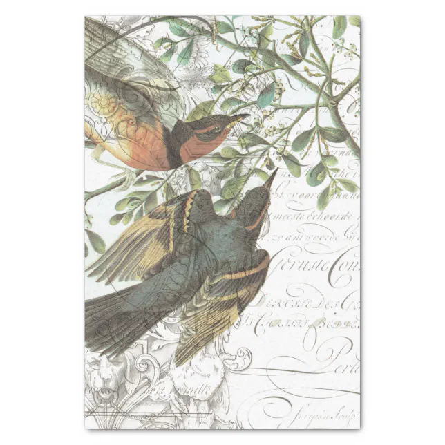 Vintage Bird Collage Tissue Paper No.508 | Zazzle