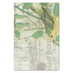 Vintage Bird Collage Tissue Tissue Paper | Zazzle