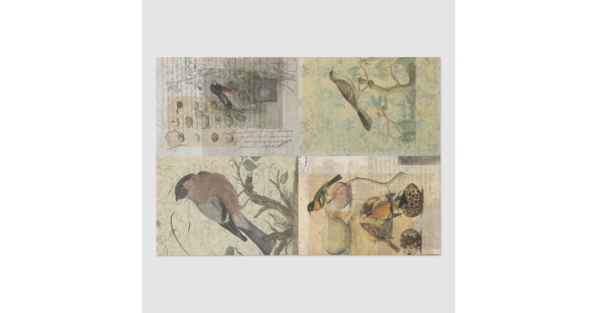 Vintage Bird Collages Tissue Paper | Zazzle
