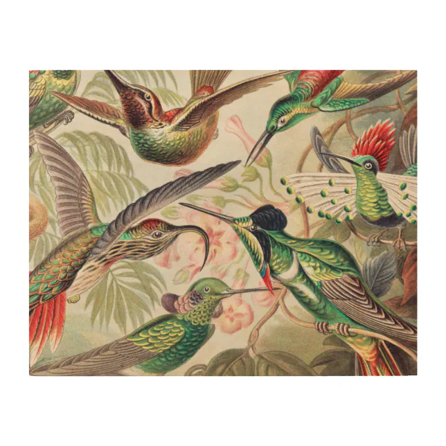 Vintage bird desktop wallpaper, painting wood wall art | Zazzle