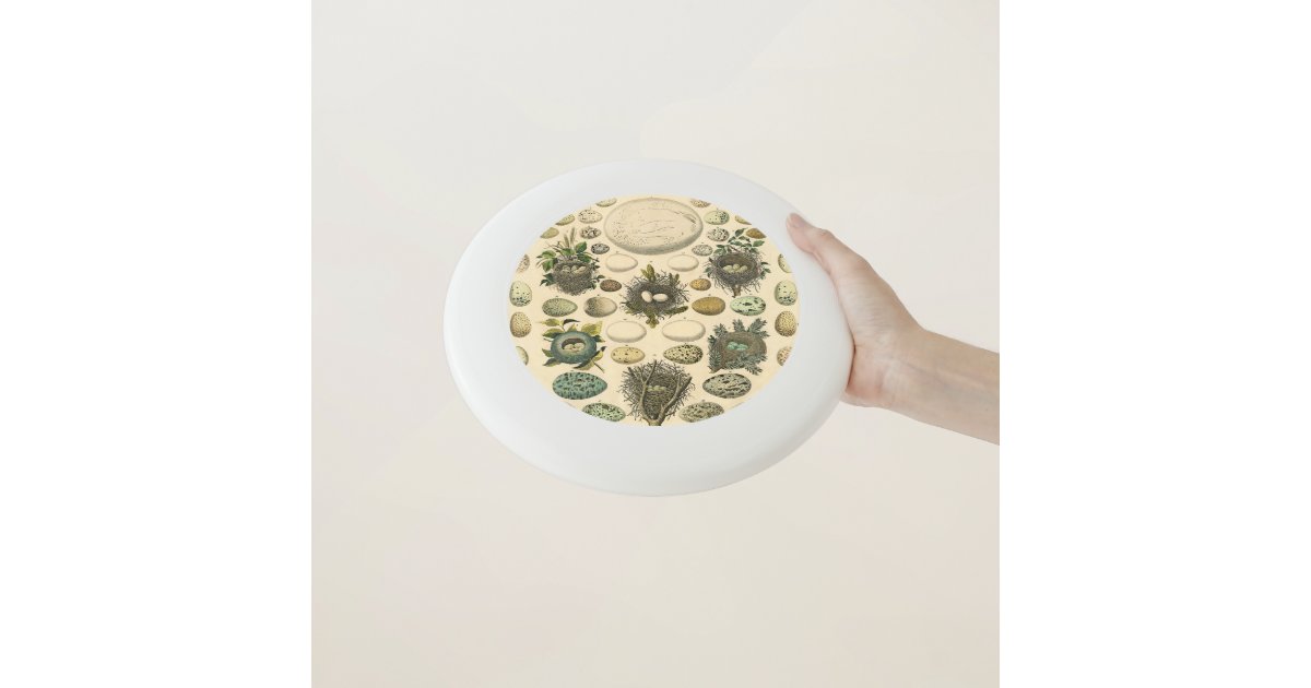 Vintage Bird Egg Nest Art Painting Eggs Wham-O Frisbee | Zazzle