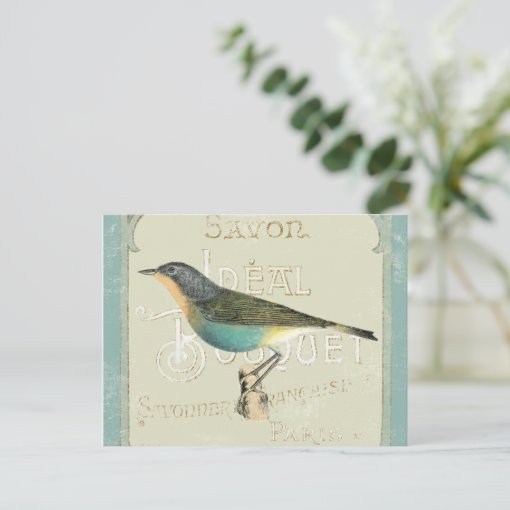 Vintage Bird Facing the Left Postcard | Zazzle