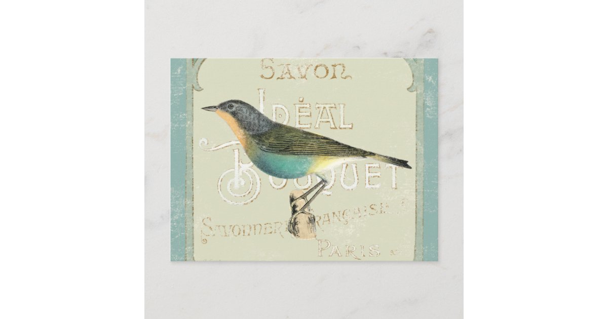 Vintage Bird Facing the Left Postcard | Zazzle