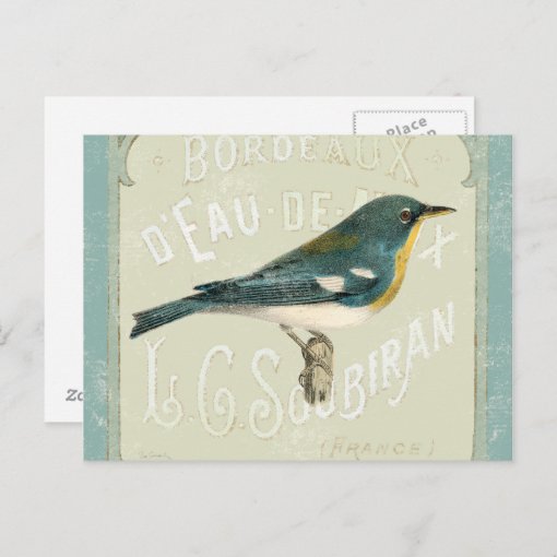 Vintage Bird Facing the Right Postcard | Zazzle