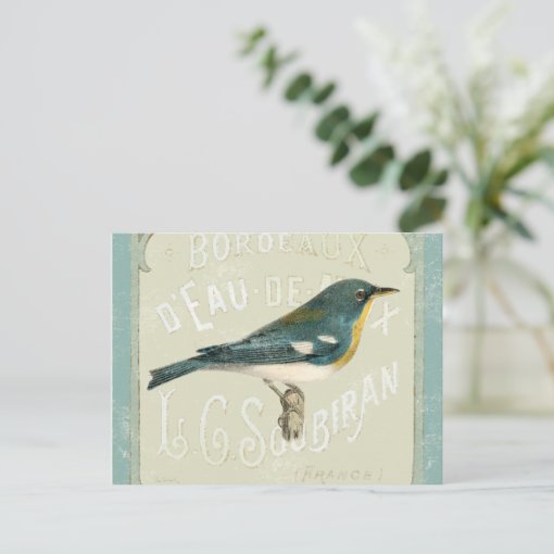 Vintage Bird Facing the Right Postcard | Zazzle