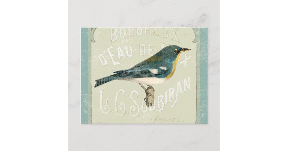 Vintage Bird Facing the Right Postcard | Zazzle