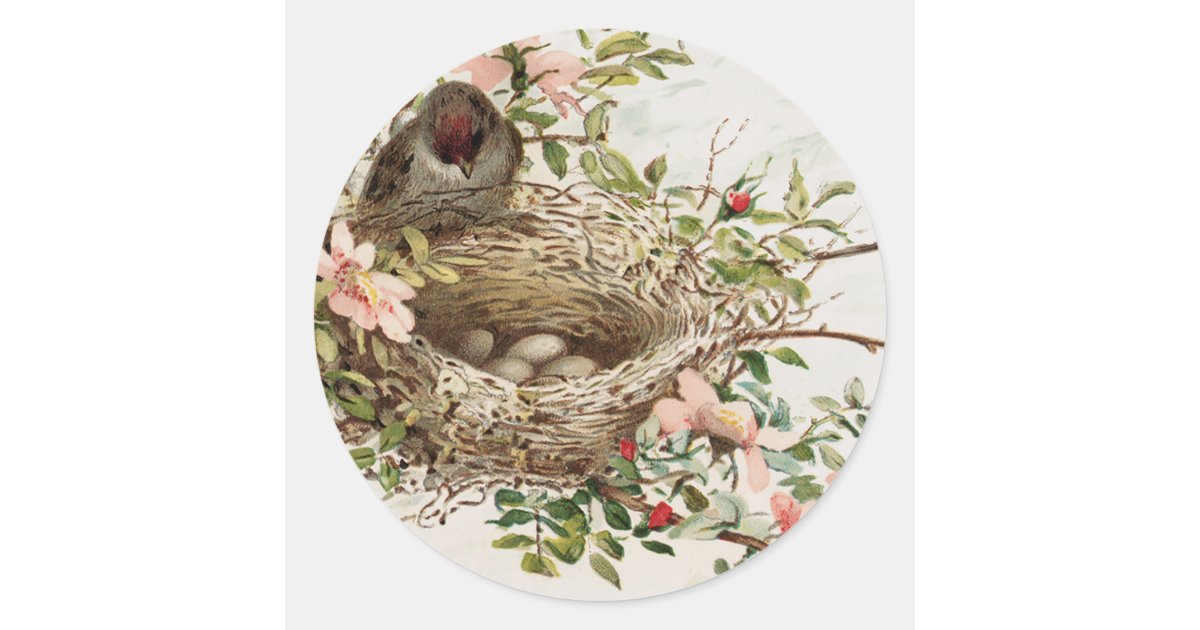 Vintage Bird in Nest Animal Print Classic Round Sticker | Zazzle