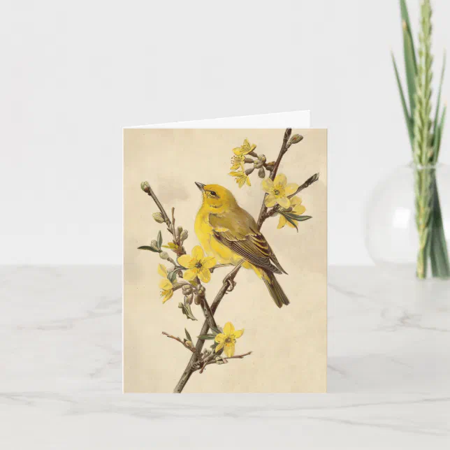 Vintage Bird Note Card | Zazzle