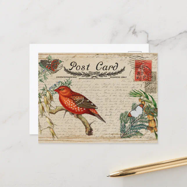 Vintage Bird Postcard | Zazzle