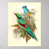 Vintage Bird Poster | Zazzle