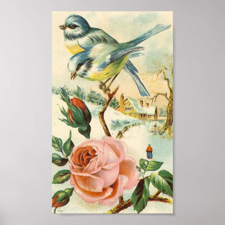 Vintage Bird Poster | Zazzle