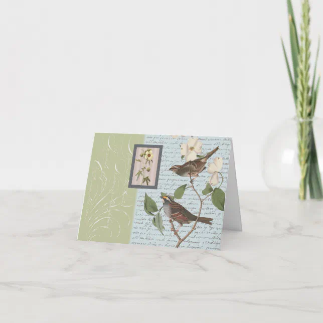 Vintage Birds...notecard Card | Zazzle
