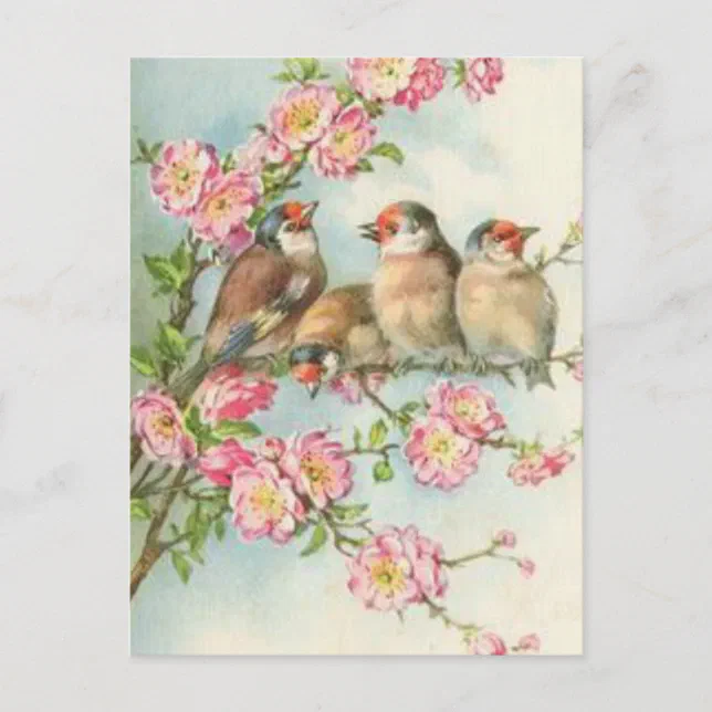 Vintage Birds Postcard | Zazzle