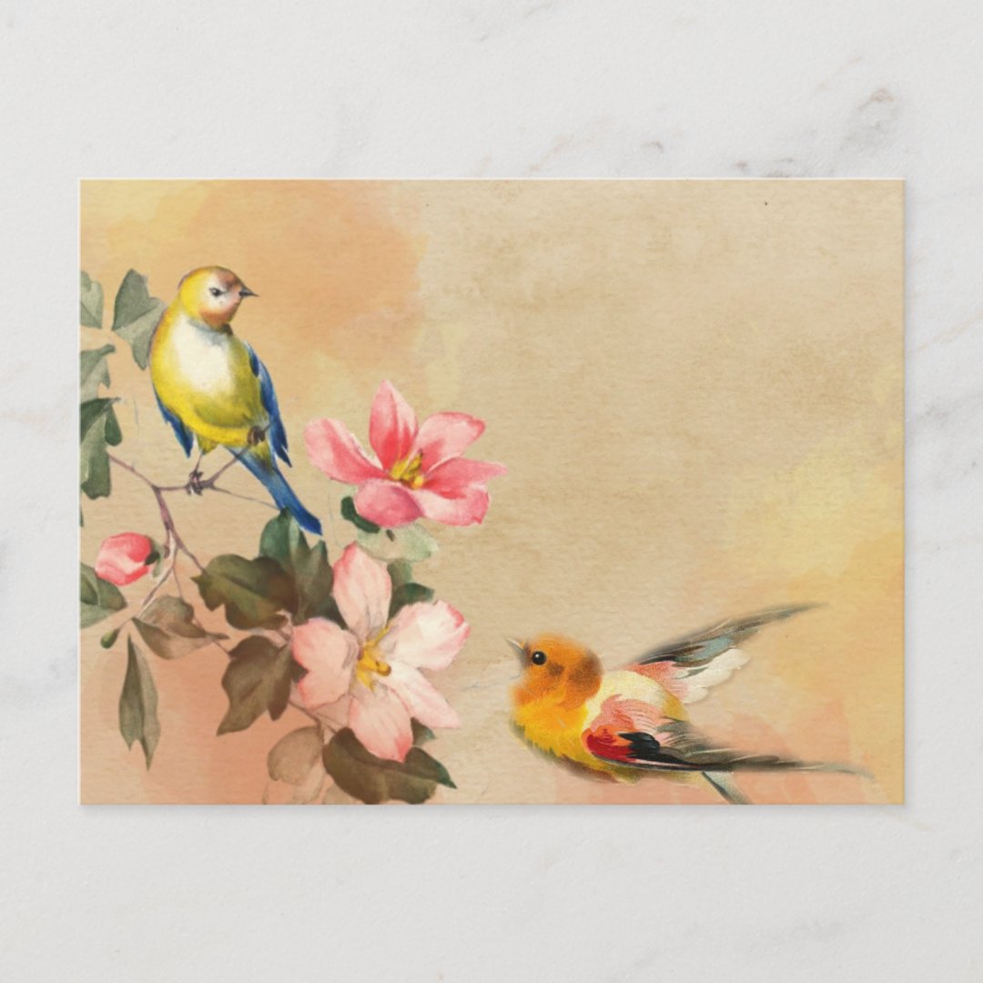 Vintage Birds Postcard | Zazzle