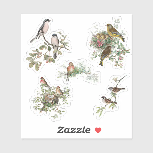 Vintage Birds Sticker | Zazzle