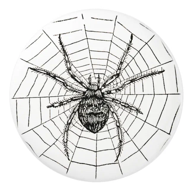 Vintage Black and White Spider Illustration Ceramic Knob | Zazzle